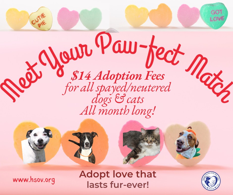 $14 February Adoption Special at Humane Society of the Mid-Ohio Valley ...